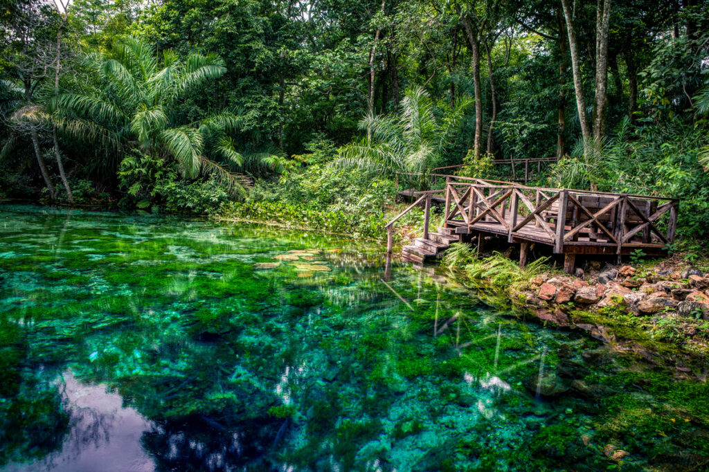 Como funciona os passeios em Bonito MS? | Bonito Eco Tour