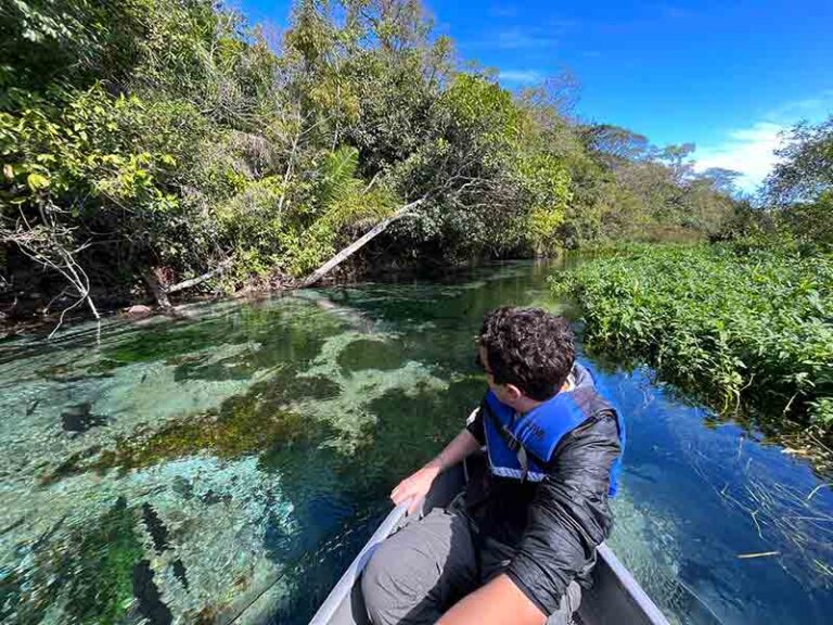 Qual A Melhor época Para Ir Para Bonito