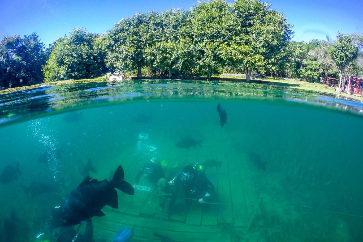 Passeios em Bonito - MS: Os 4 Lugares Para Conhecer Nessa Cidade!